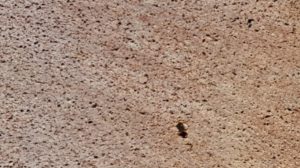 Harga Batu Alam Per Meter Dan Kg Terbaru Maret 2023